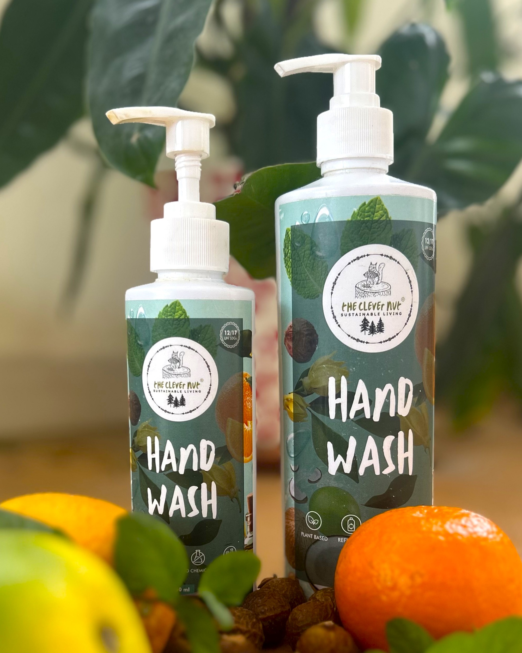 Hand Wash – The Clever Nut